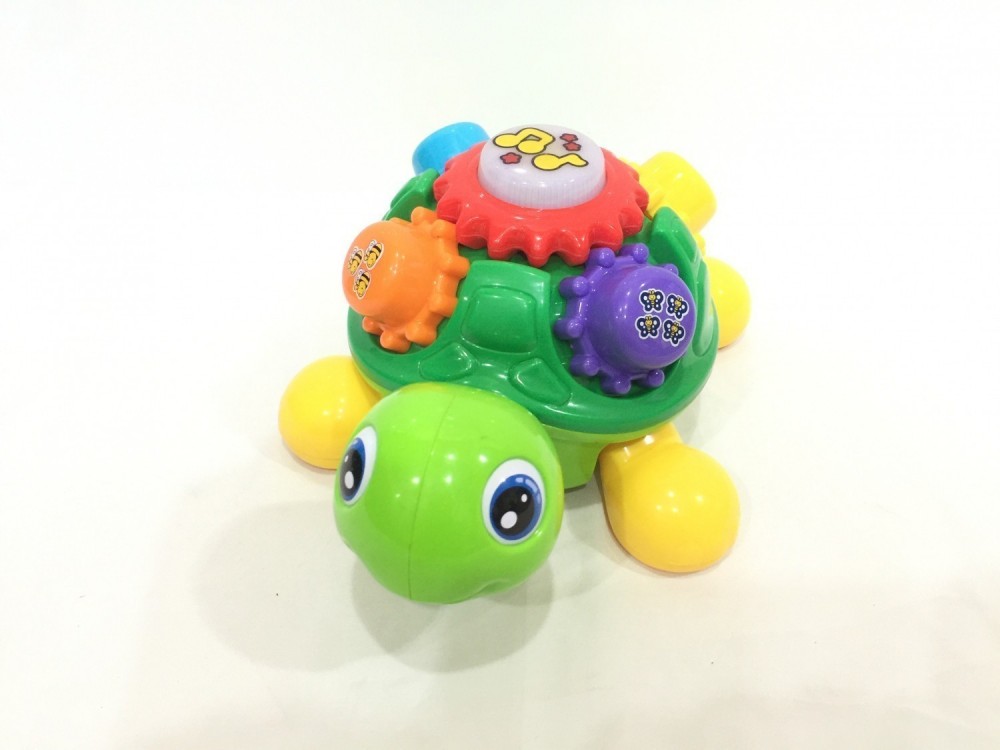 Musical Tortoise Toy - BUY ONLINE - NEPAL