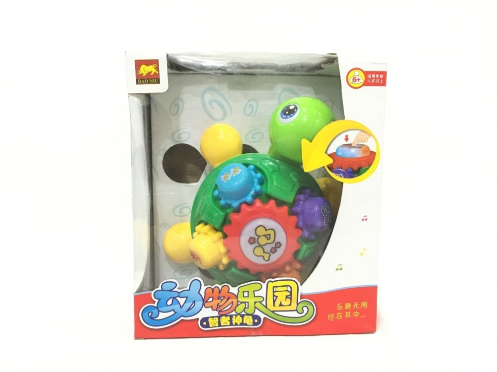 Musical Tortoise Toy - BUY ONLINE - NEPAL